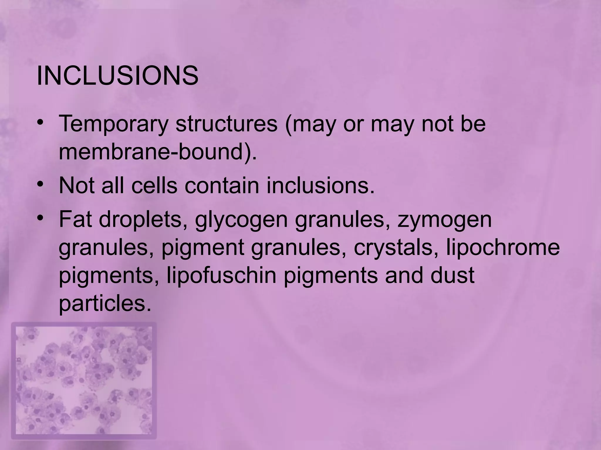 Lect. 2 cell structure and function | PPT
