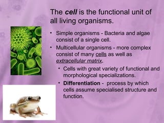 Lect. 2 cell structure and function | PPT