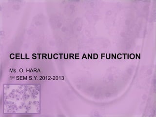 Lect. 2 cell structure and function | PPT