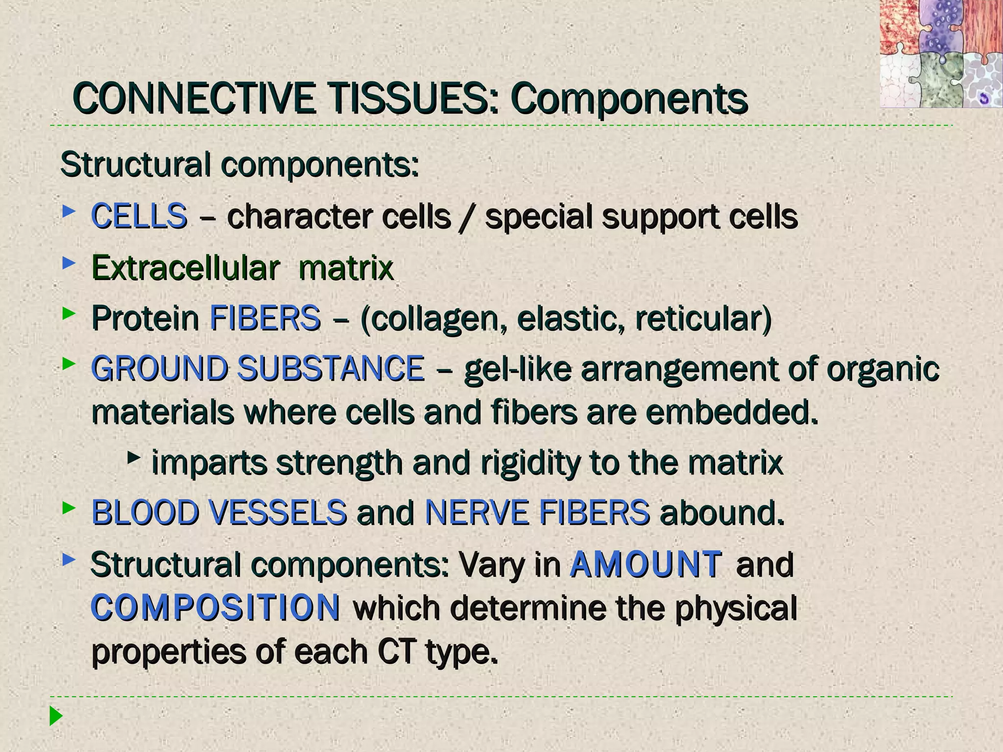 Lect. 5 connective tissue components | PPT