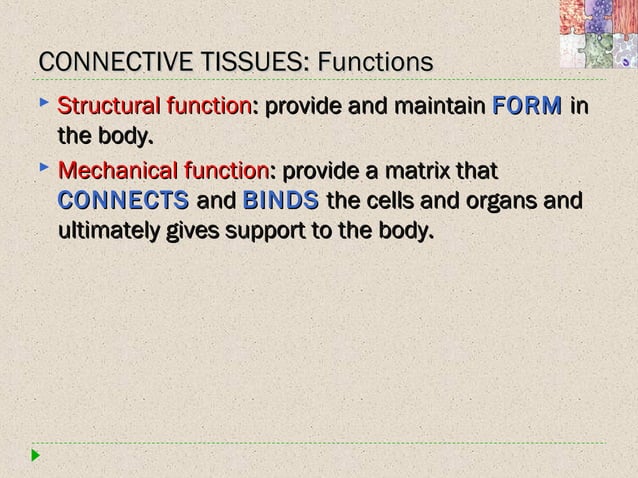Lect. 5 connective tissue components | PPT