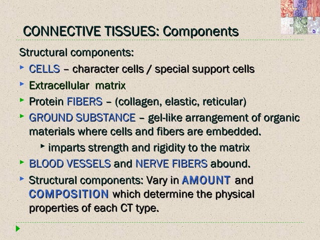 Lect. 5 connective tissue components | PPT