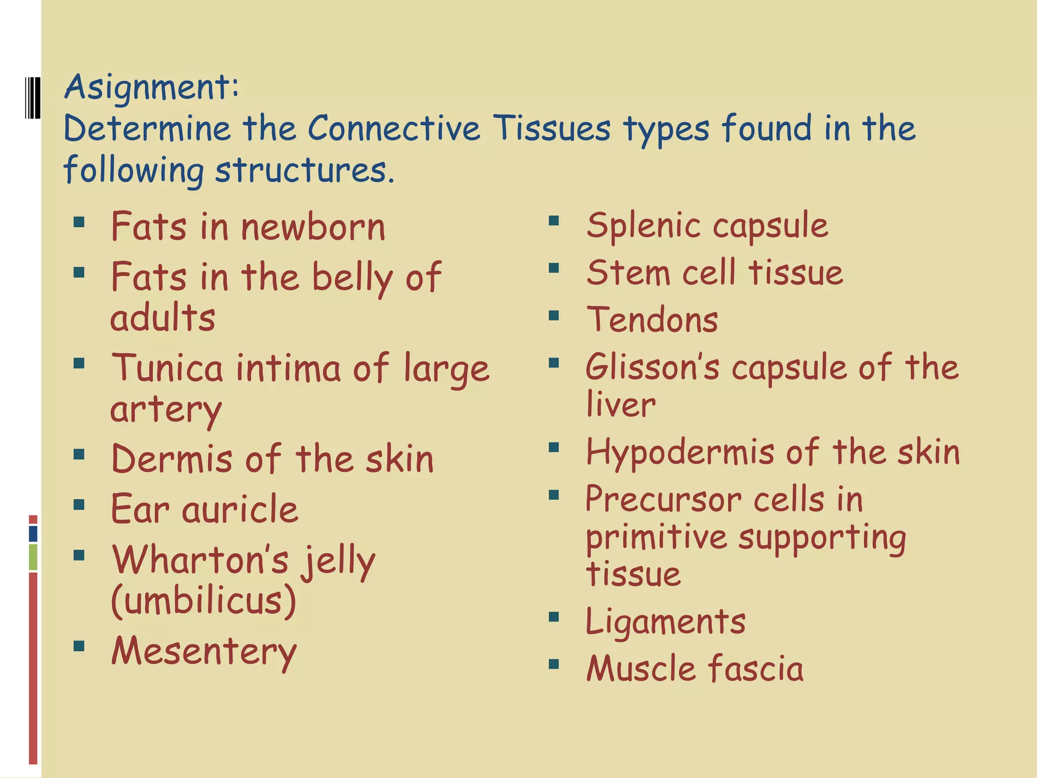 Lect. 5a connective tissue types | PPT