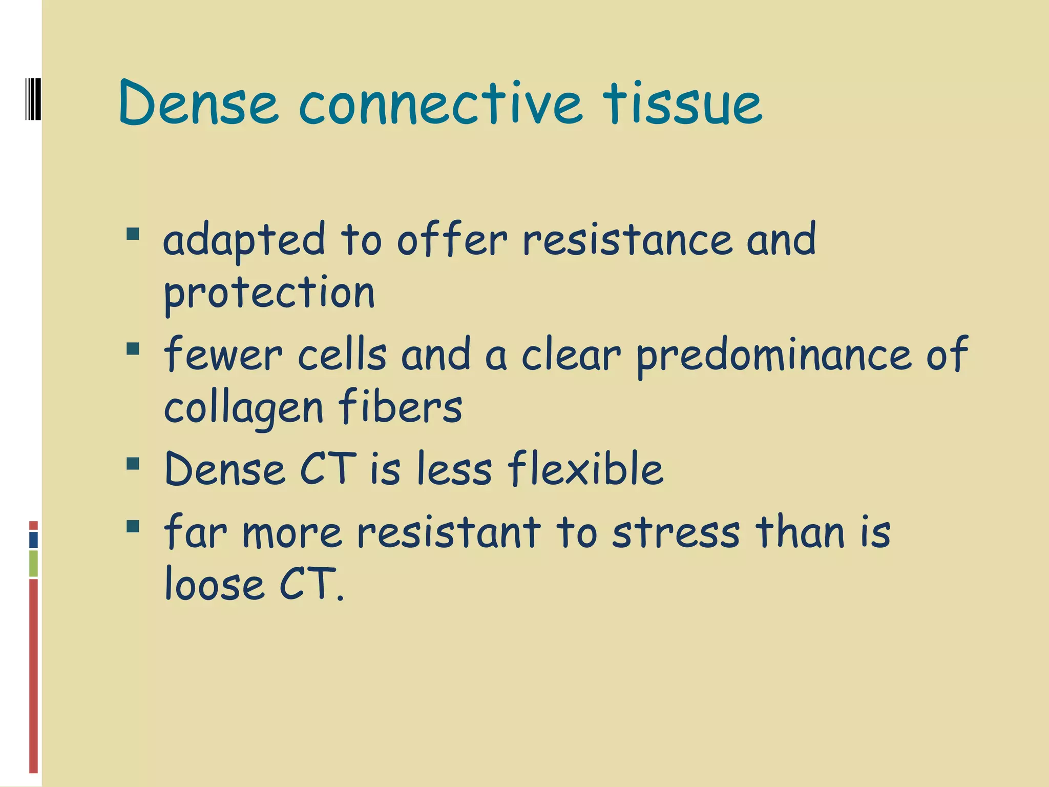 Lect. 5a connective tissue types | PPT