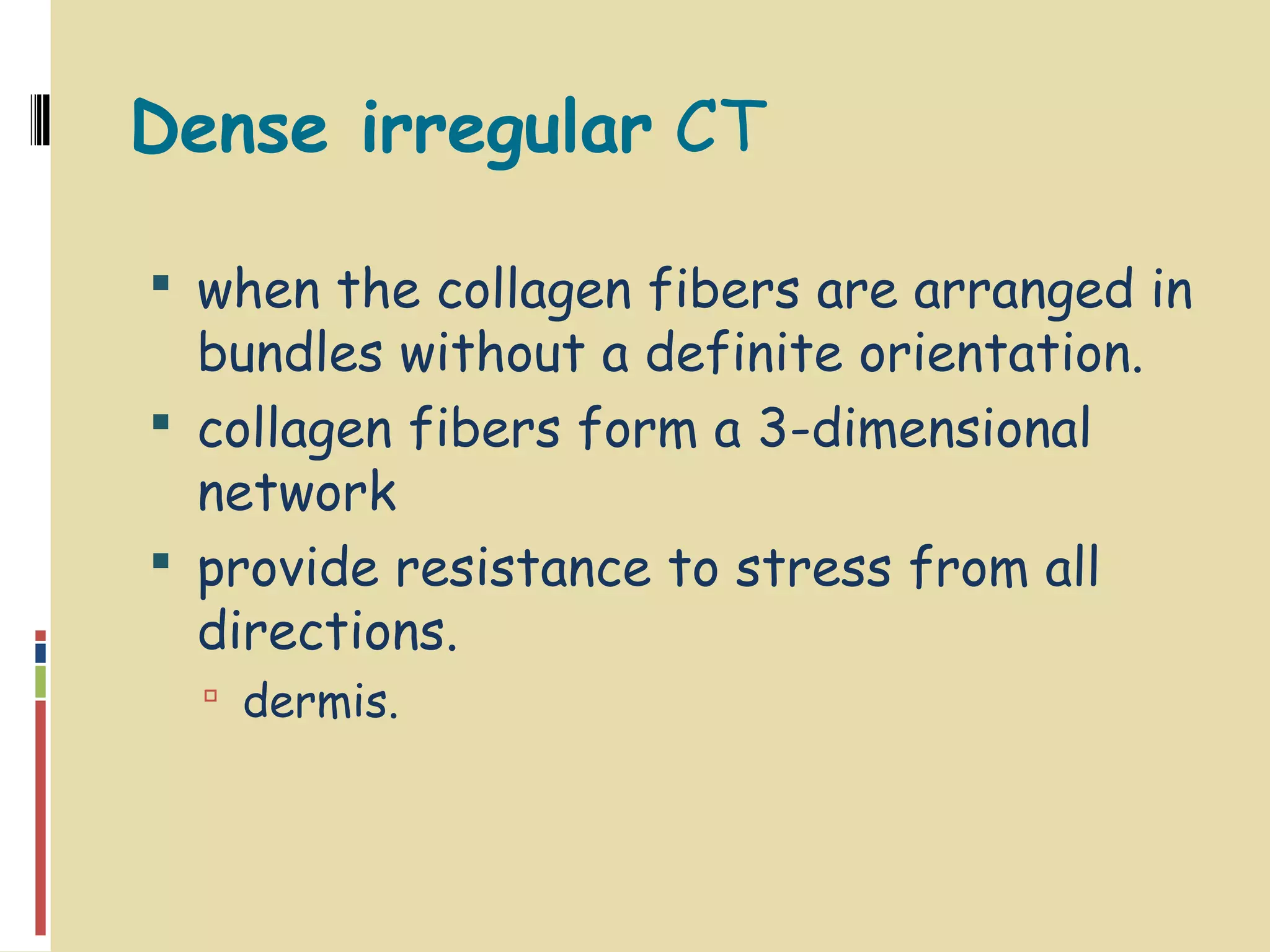 Lect. 5a connective tissue types | PPT