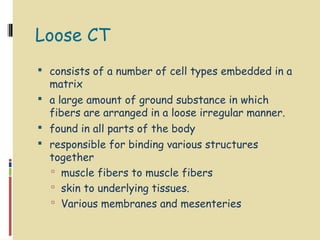 Lect. 5a connective tissue types | PPT