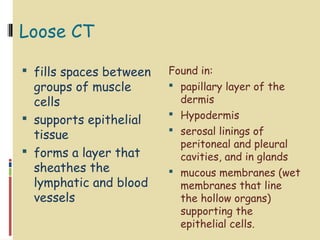 Lect. 5a connective tissue types | PPT