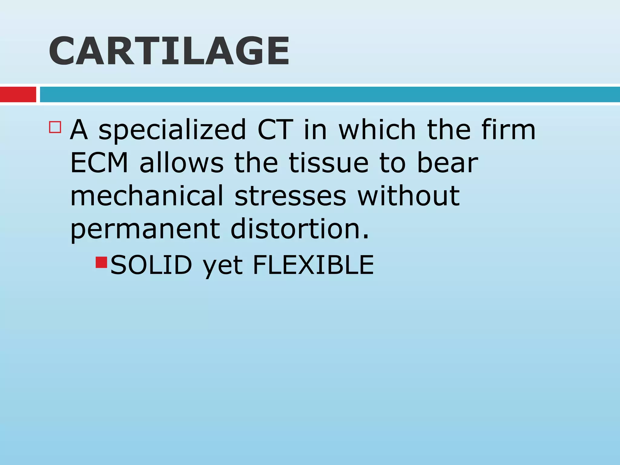 Lect. 6 specialized ct cartilage | PPT