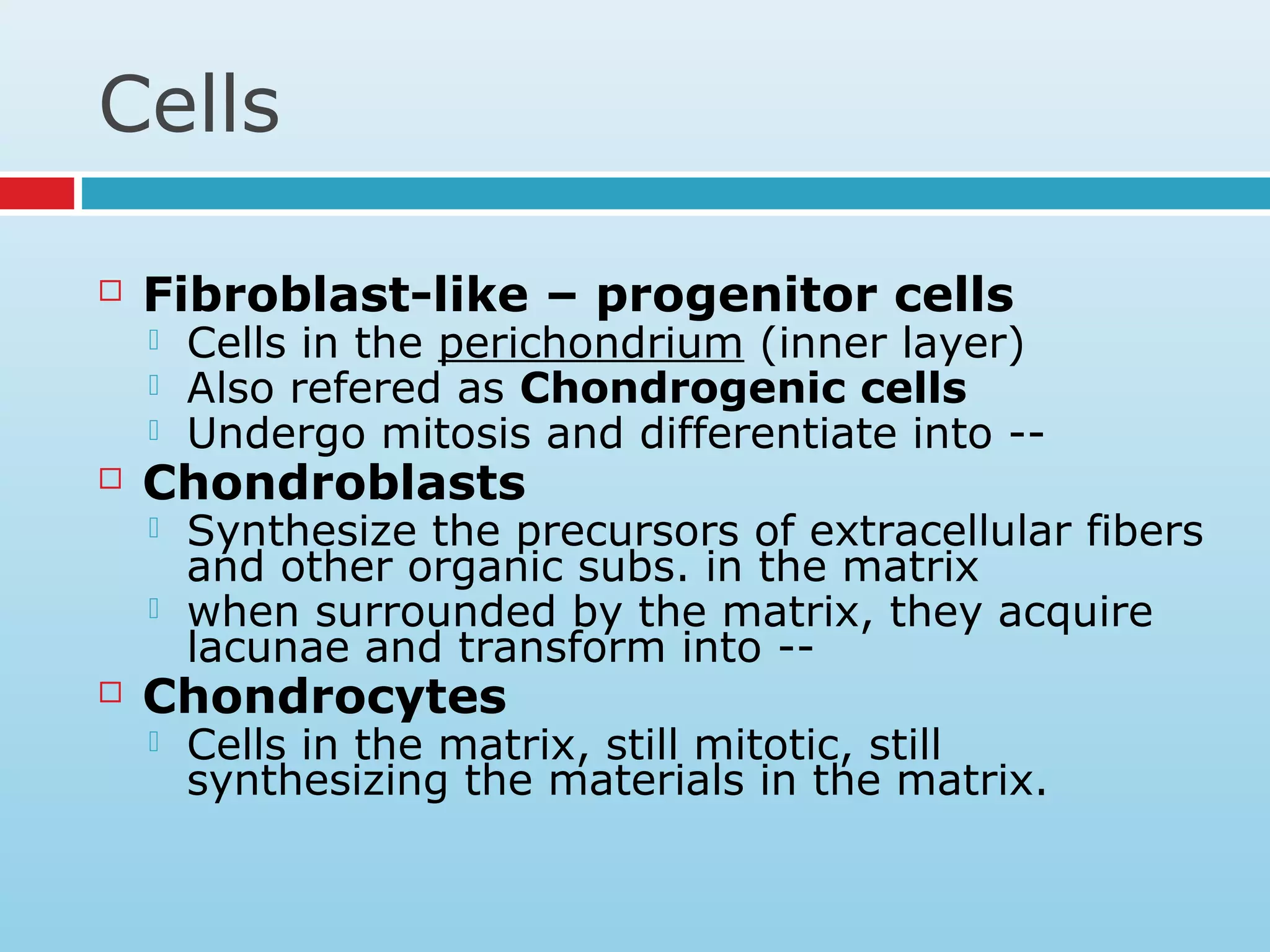 Lect. 6 specialized ct cartilage | PPT