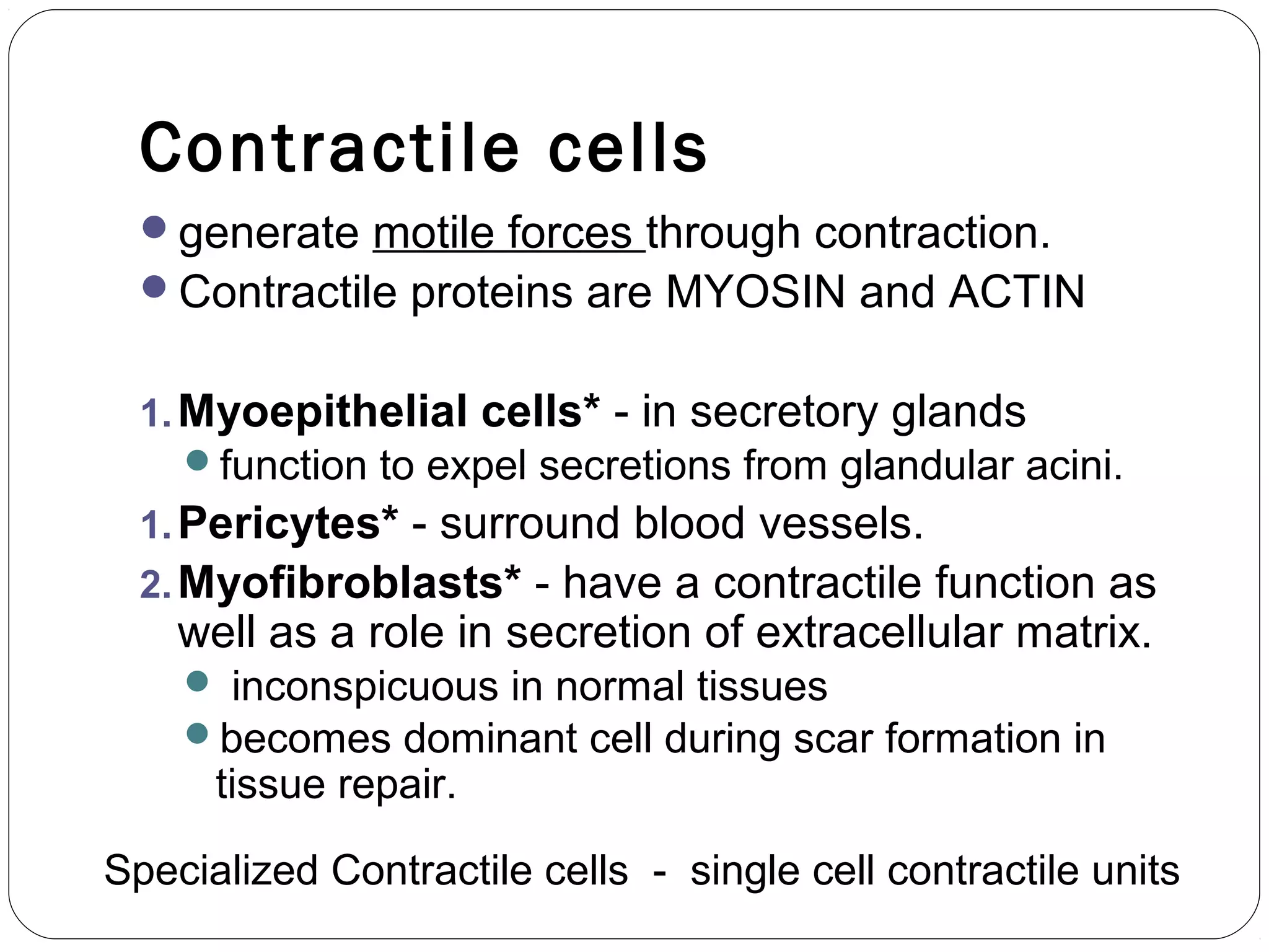 Lect. 8 muscular tissues | PPT