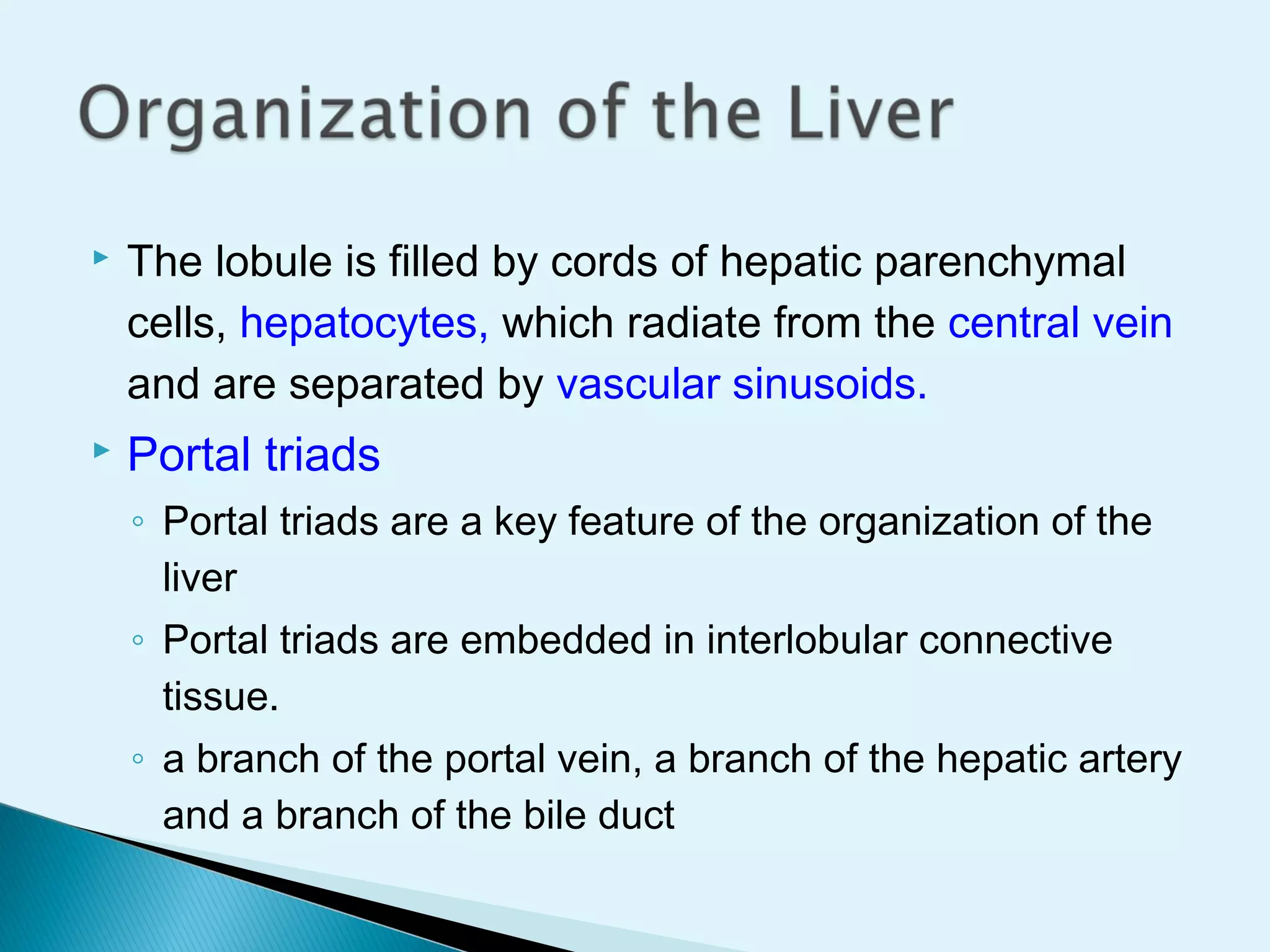 Lect. 14 digestive system - associated glands | PPT