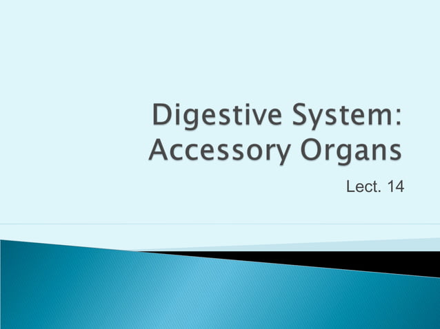 Lect. 14 digestive system - associated glands | PPT