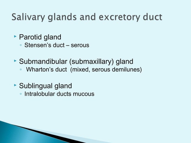 Lect. 14 digestive system - associated glands | PPT