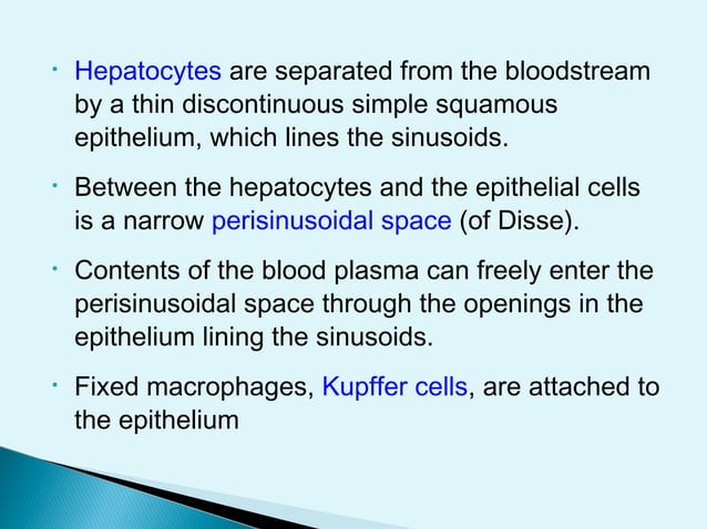 Lect. 14 digestive system - associated glands | PPT