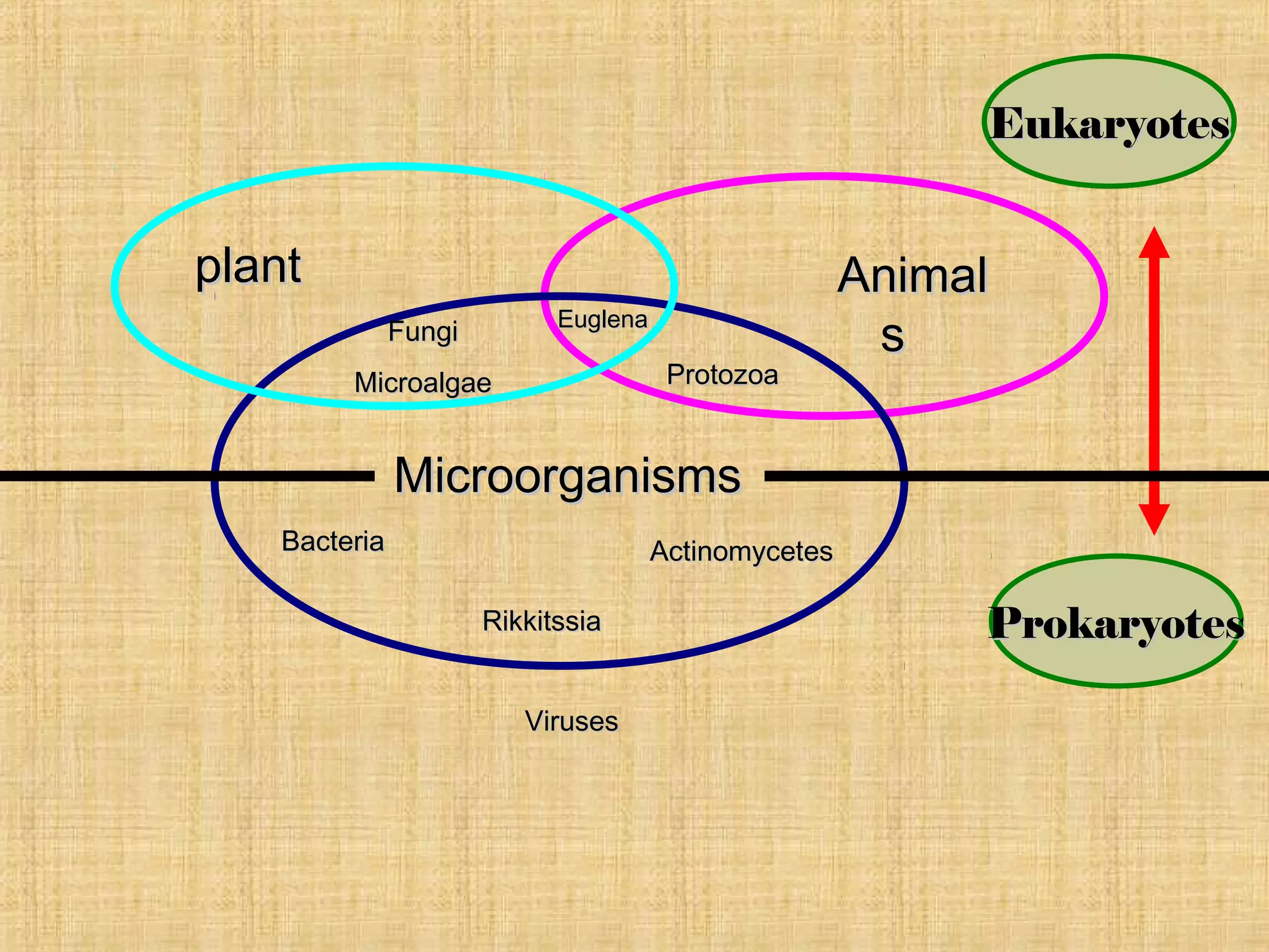 Lect. 1 introduction to general microbiology | PPT