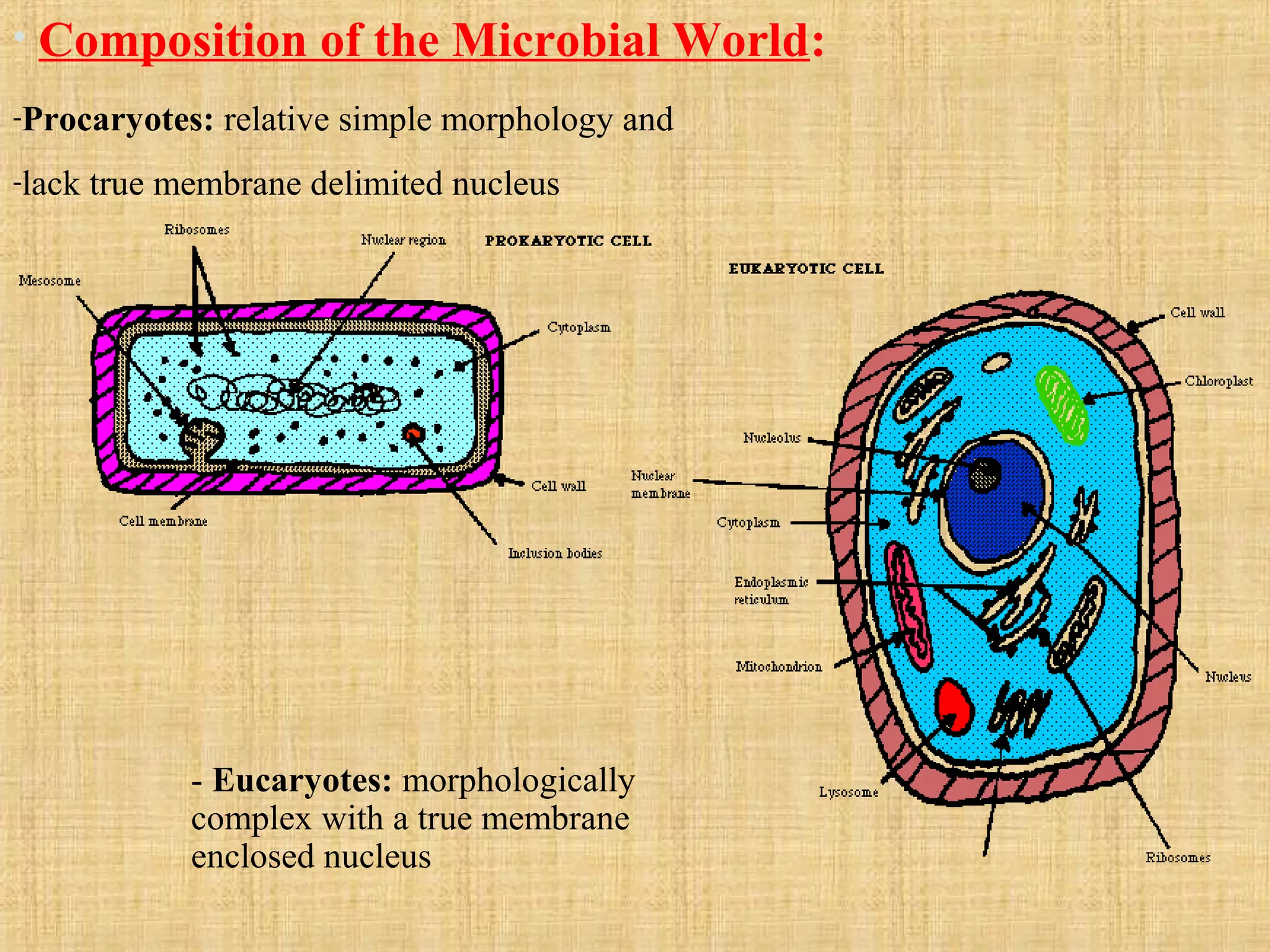 Lect. 1 introduction to general microbiology | PPT