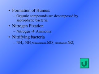Lect. 2 (economic significance of microorganisms) | PPT | Infectious ...