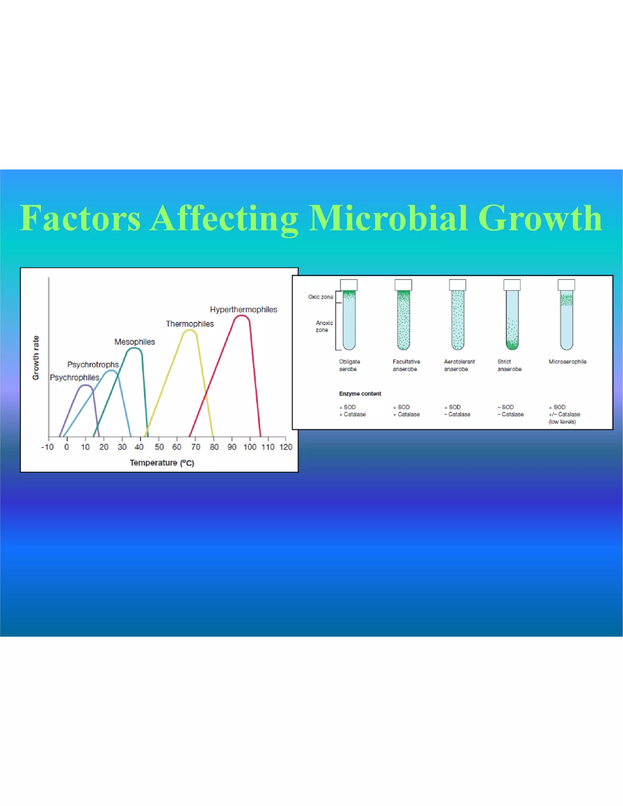 Lect. 5 (factors affecting microbial growth) | PDF | Free Download