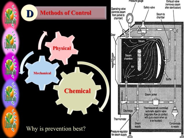 Lect.6 (chapter 5 microbial control) | PPT | First Aid | Injuries