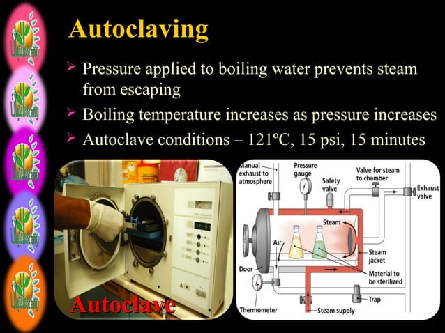 Lect.6 (chapter 5 microbial control) | PPT | First Aid | Injuries