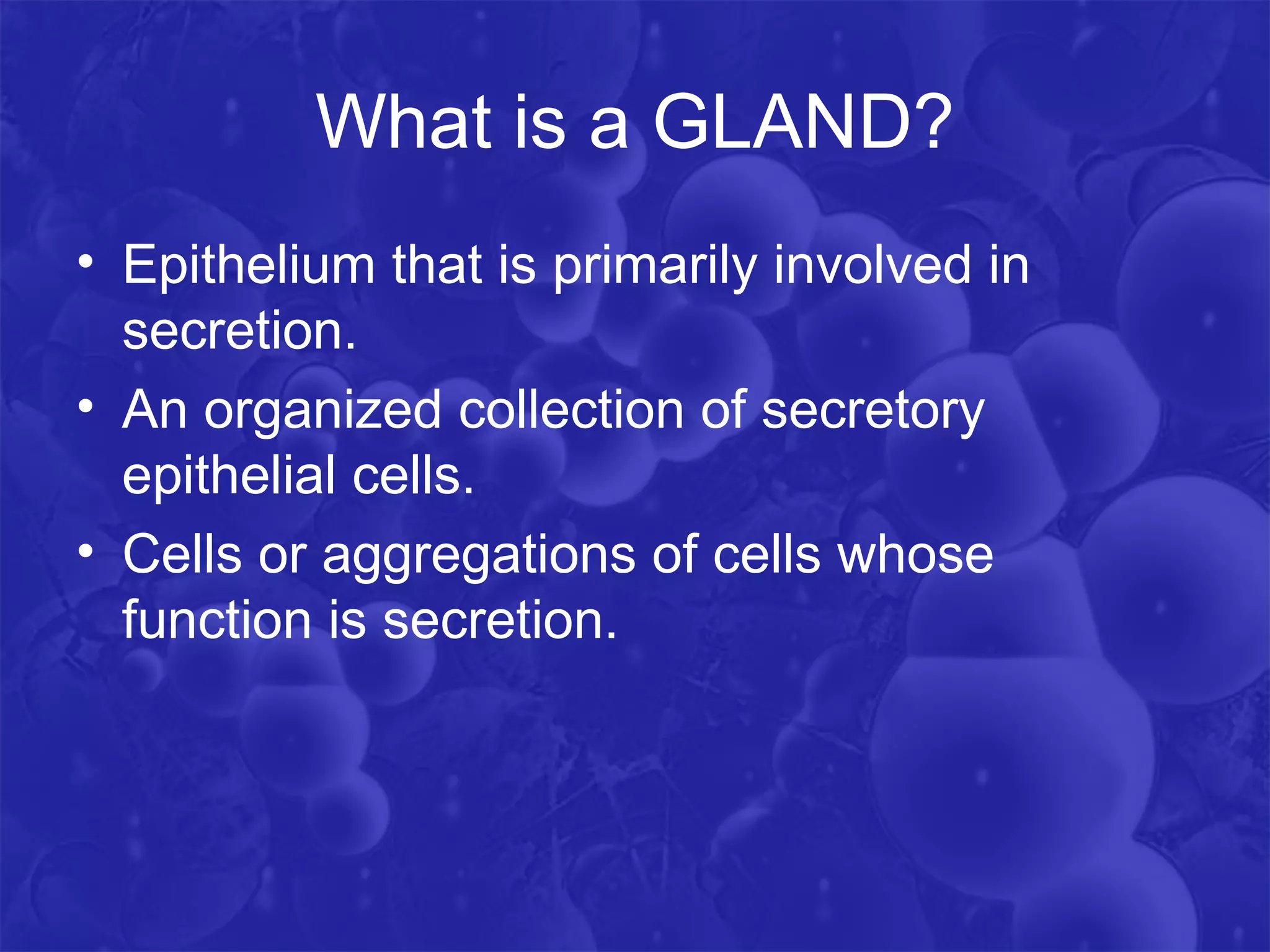 Lect. 4 glandular epithelia | PPT