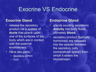 Lect. 4 glandular epithelia | PPT
