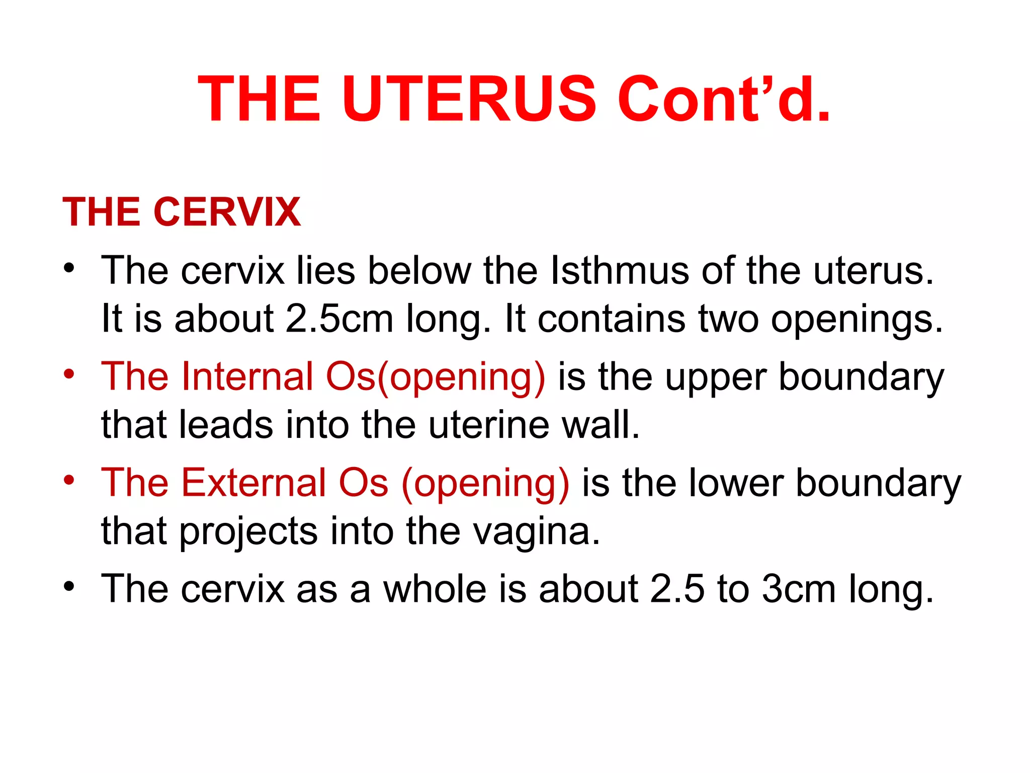 Lect. 14 female reproductive | PPT