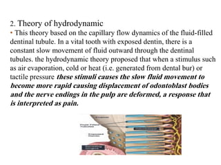 Lect.1 2018 - biologic considerations of enamel | PDF | Dental Health ...