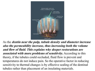 Lect.1 2018 - biologic considerations of enamel | PDF