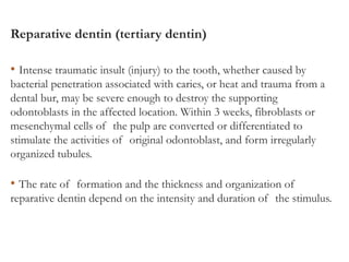 Lect.1 2018 - biologic considerations of enamel | PDF