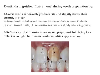 Lect.1 2018 - biological consideration of the enamel and dentine ...