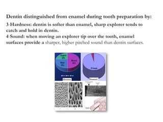 Lect.1 2018 - biological consideration of the enamel and dentine ...