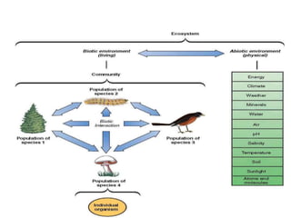 Application of ecological principles in restoration of degraded ...