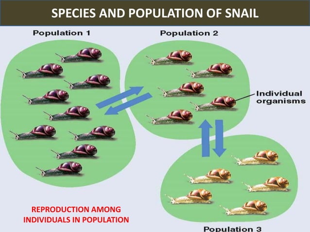 Application Of Ecological Principles In Restoration Of Degraded Habitats Pptx