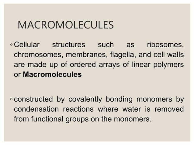 Lect. 3 macromolecules(2) | PPT