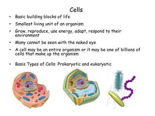 lect-1 basic biochem.pdf