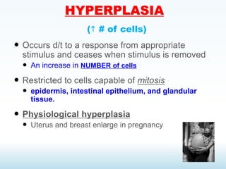 Lect 2- cellular adaptation | PPT