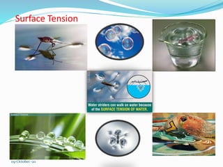Lect. 1. surface tension | PPTX
