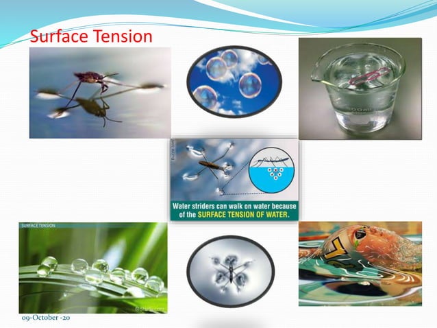 Lect. 1. surface tension | PPTX | Chemistry | Science