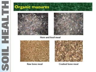 Organic manure, importance & properties | PDF