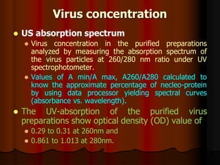 Lect. 5 Plant Virus Purification.pdf