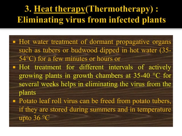 Lect. 14 Pl Path 502 Plant Virus disease Management.pdf