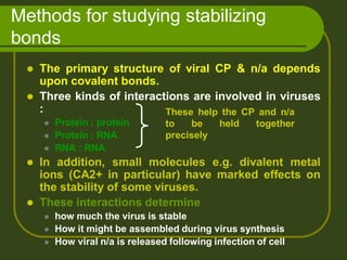 Lect.6 composition & Architecture of plant viruses.pdf