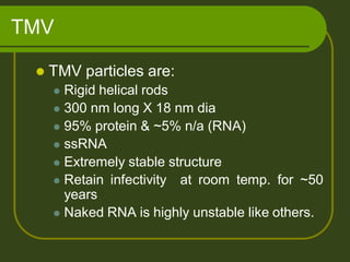 Lect.6 composition & Architecture of plant viruses.pdf