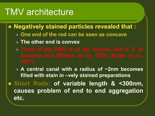 Lect.6 composition & Architecture of plant viruses.pdf
