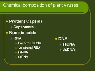 Lect.6 composition & Architecture of plant viruses.pdf