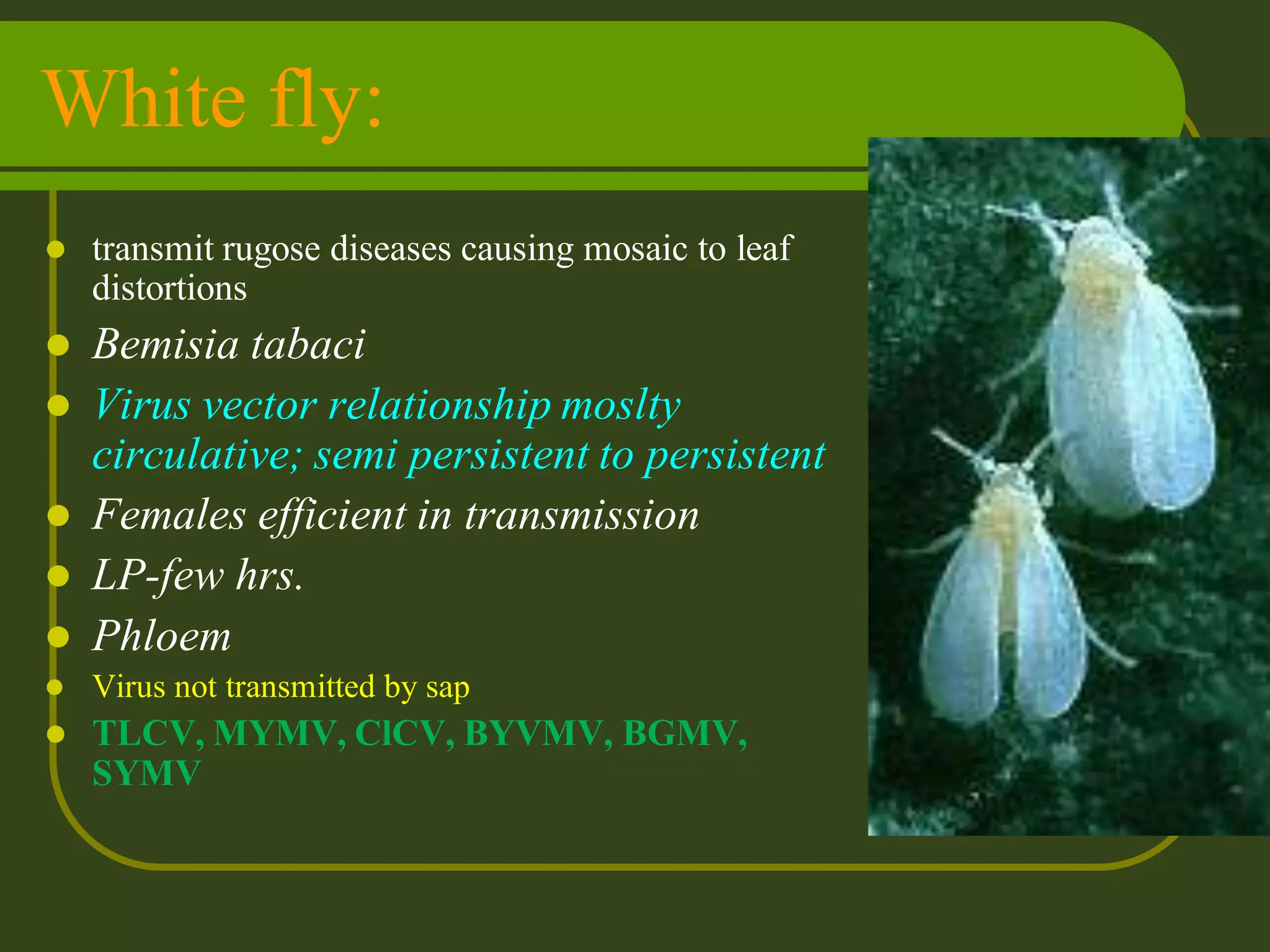 Lect. 7 Pl Path 502 Plant virus Transmission.pdf