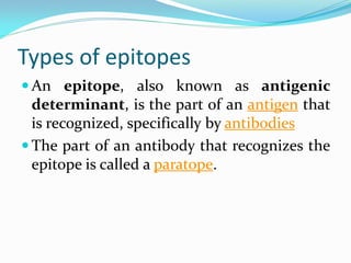 Lect. 12 Pl Path 502 Plant Virus Serology.pdf