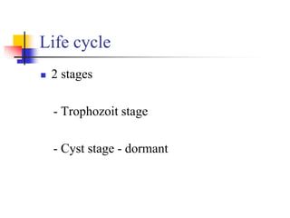 Lect._II_Cornea copy.pptx