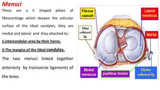 lect. joints of the lower limb.pptx | Death, Injury, or Military Conflict | Sensitive Topics